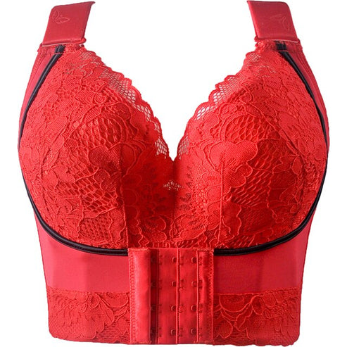 Women Plus Size Lace Embroidery Bra Underwear - Sexy Lift & Everyday C ...